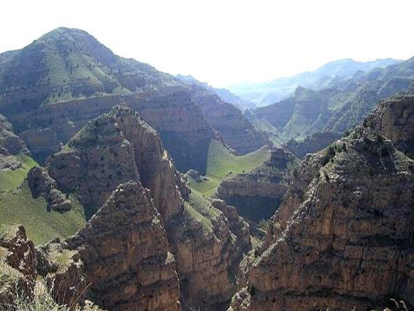 پارک ملی تندوره بهترین زیستگاه پلنگ ایرانی